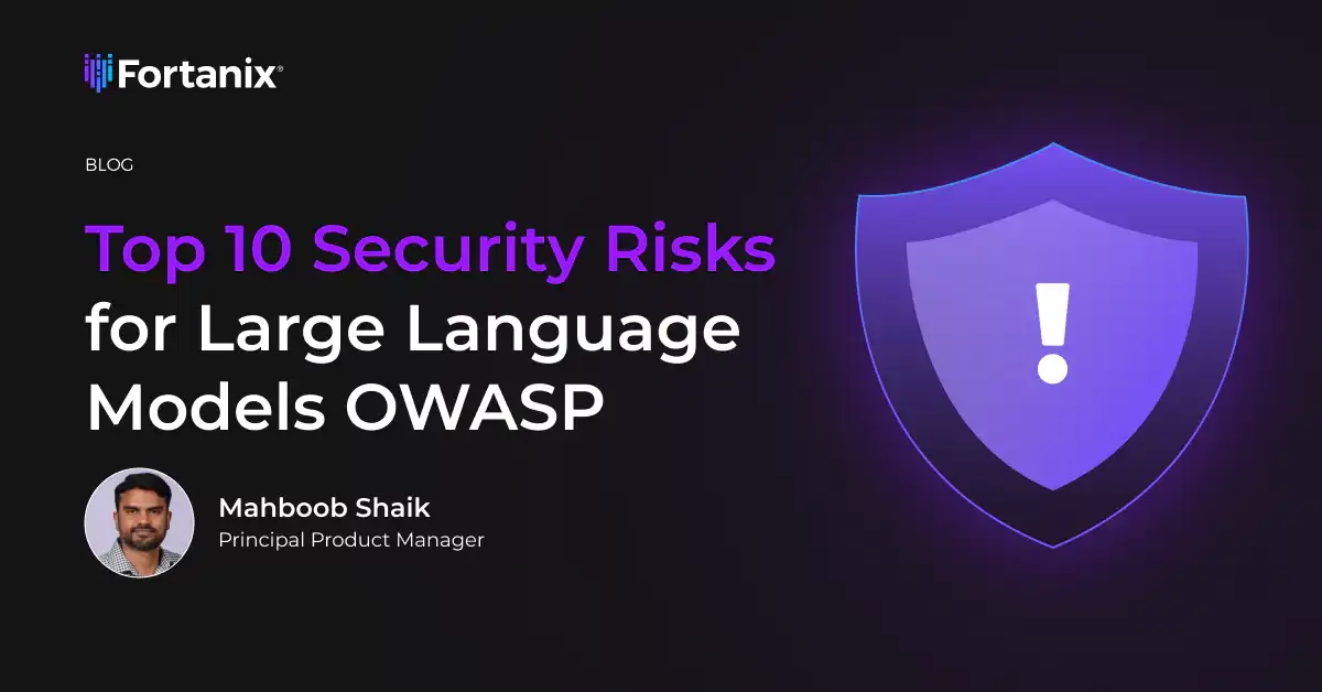 Top 10 Security Risks for Large Language Models OWASP | Fortanix
