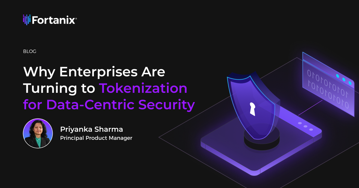 Why Enterprises Are Turning to Tokenization for Data-Centric Security
