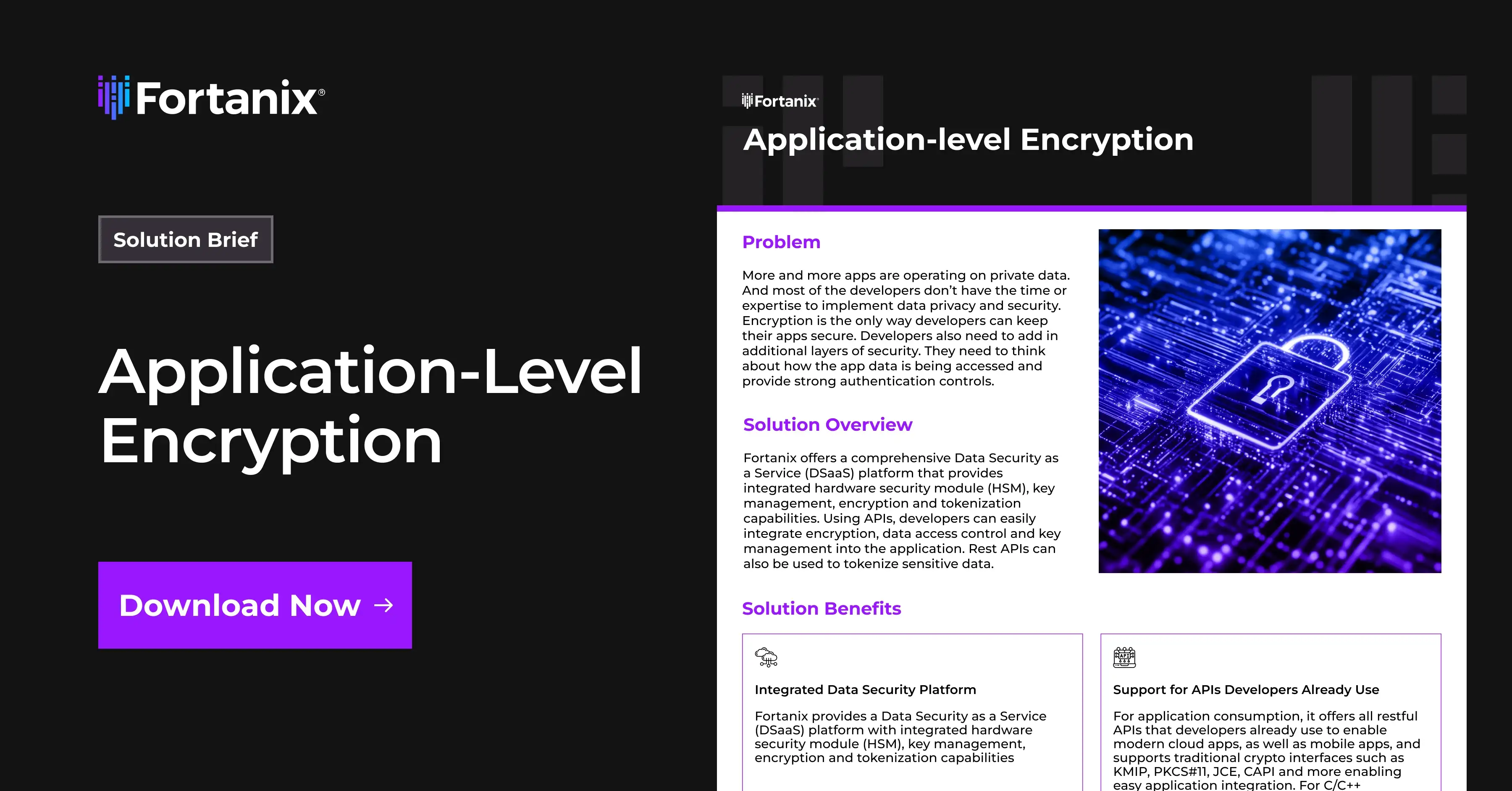 Fortanix Application Level Encryption | Fortanix