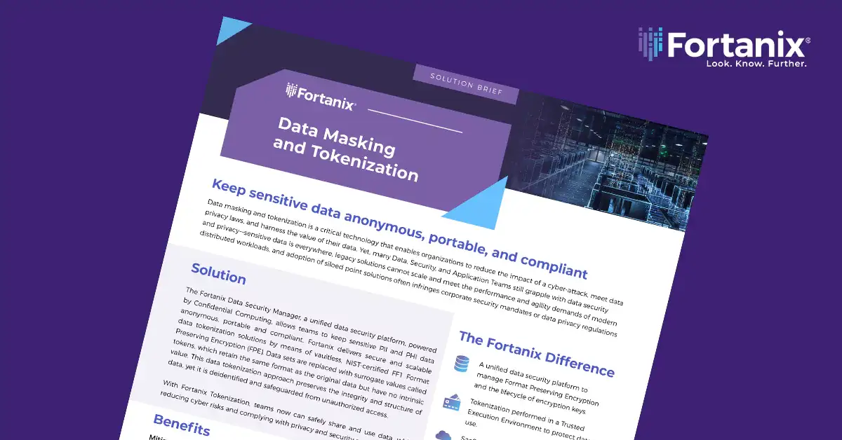 Data Masking and Data Tokenization Solution Brief | Fortanix