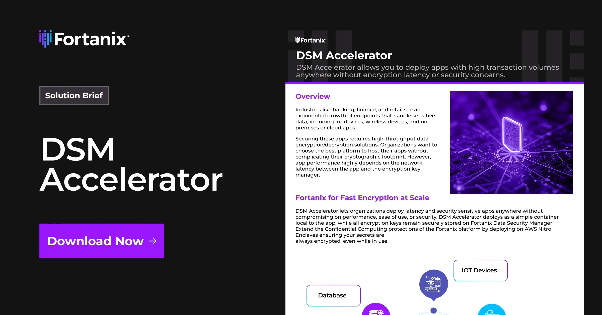 Data Security Manager Accelerator | Fortanix