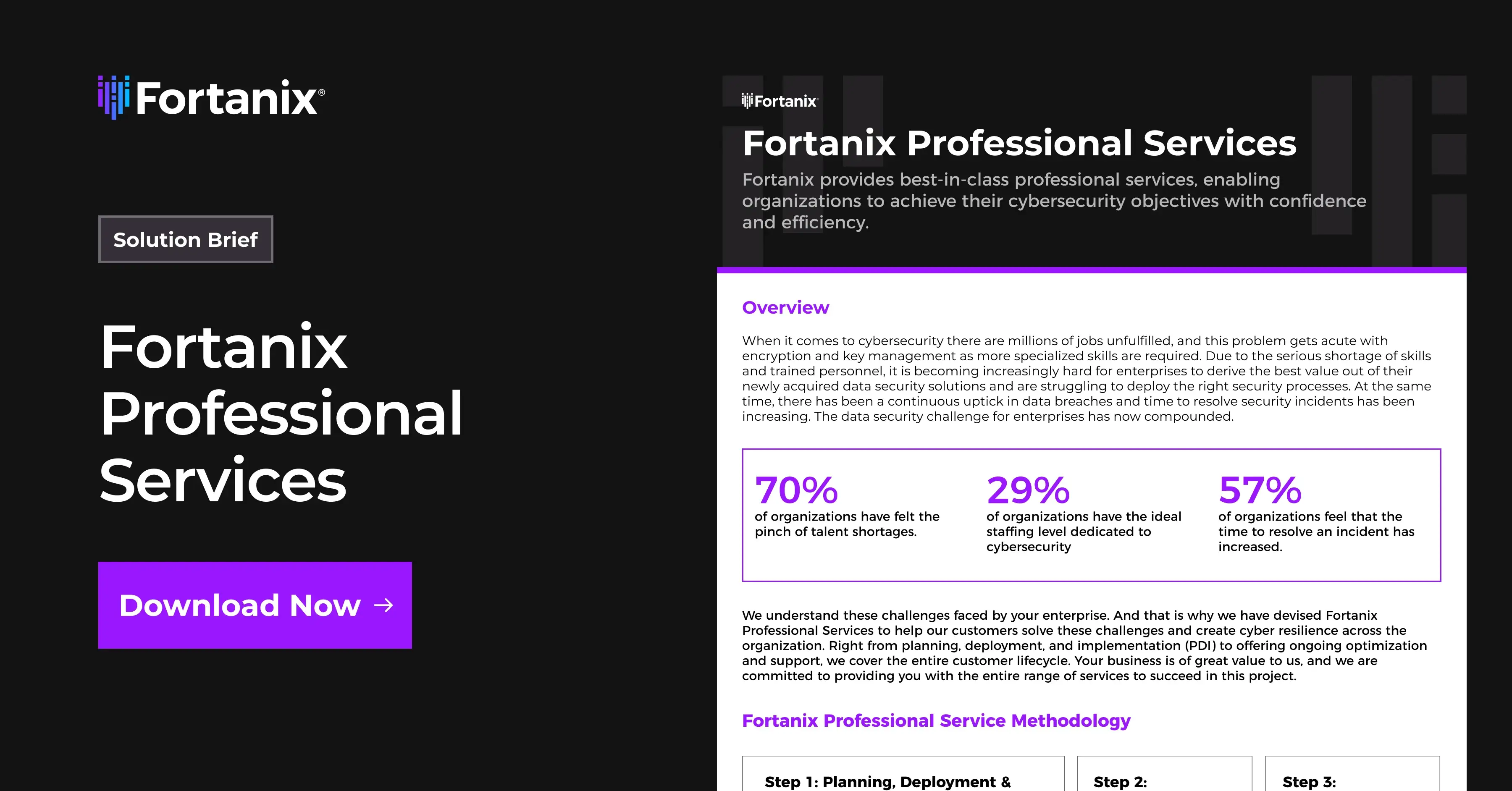 Fortanix Professional Services | Fortanix