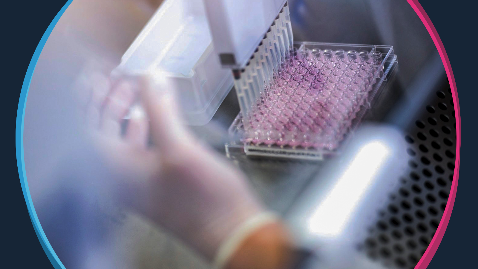 PhRMA calls on USTR to ensure foreign nations pay their fair share | PhRMA