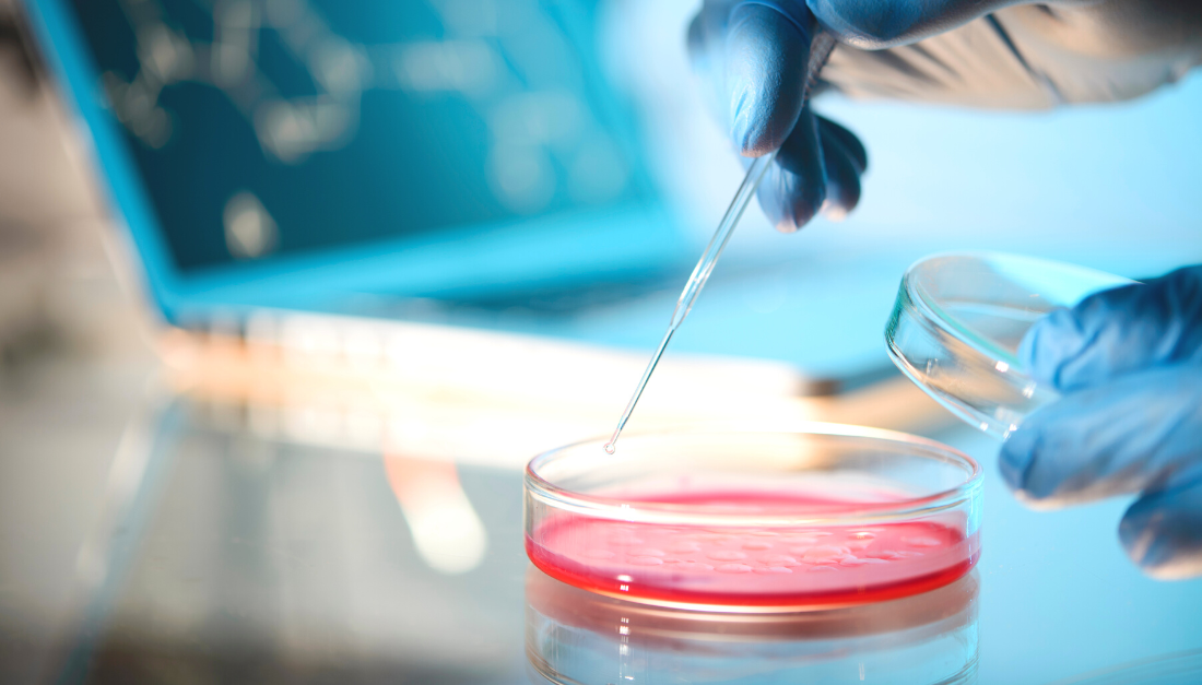 How FDA’s modernization strategy could improve drug development | PhRMA