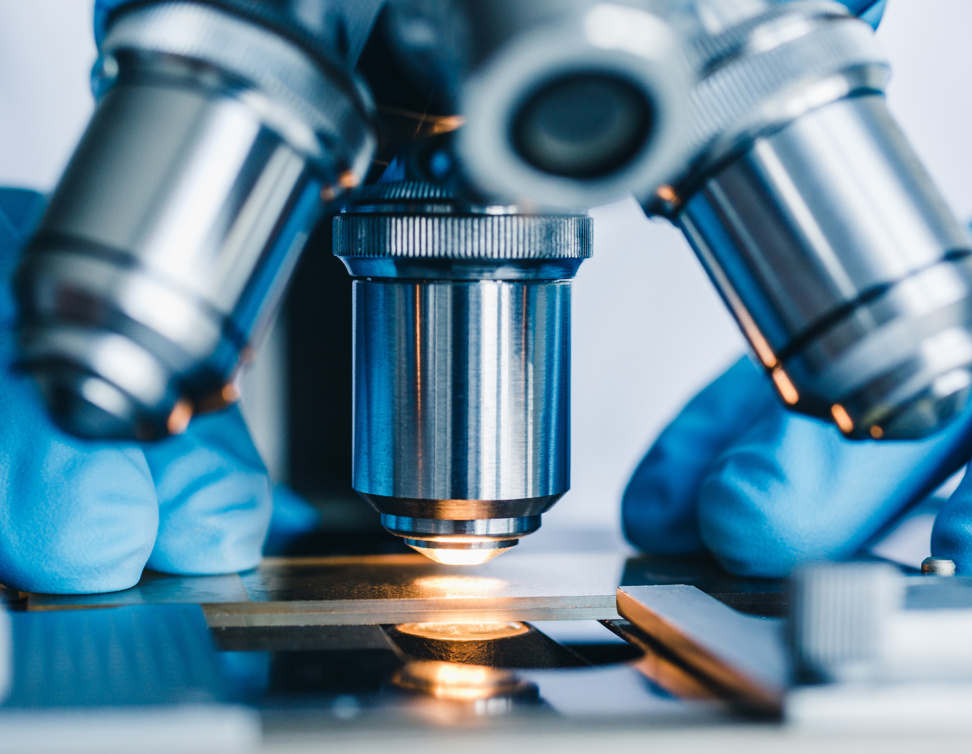 World Trade Week 2024: Time for a more ambitious U.S. trade agenda | PhRMA