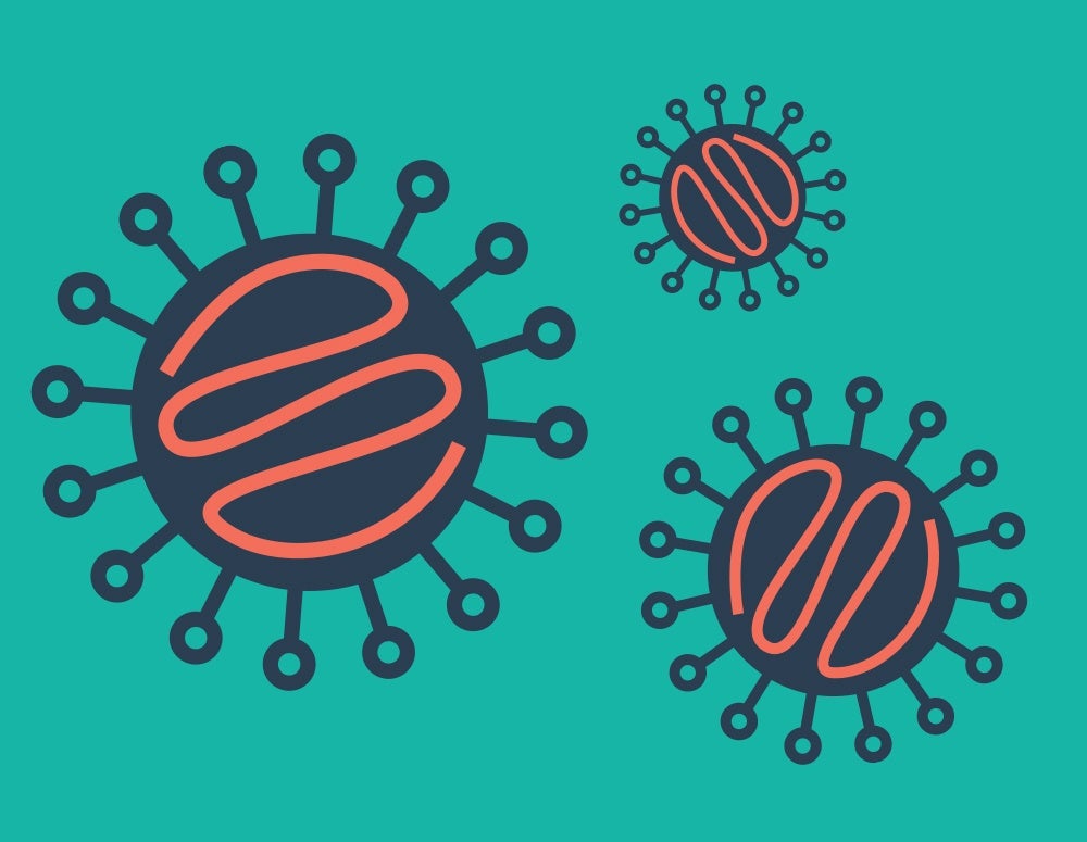 Eradication of measles highlights the promise of vaccines in ...