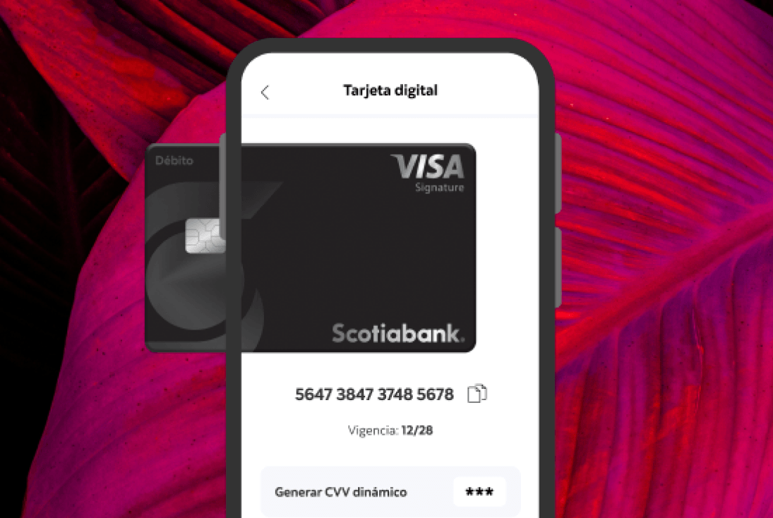 Conoce tu nueva Tarjeta de Débito Digital Scotiabank | Blog ...
